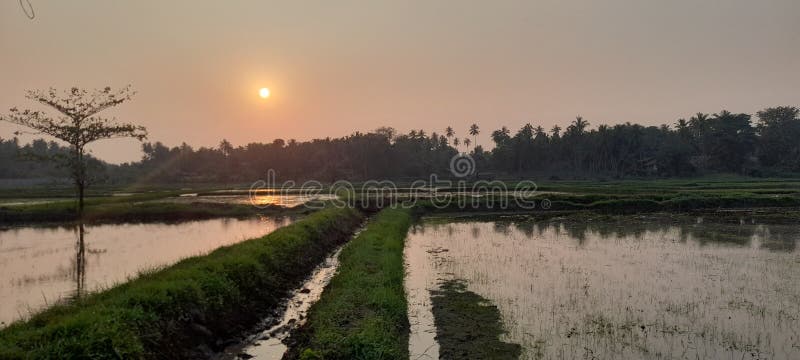 Pady for sri lanka stock image. Image of lanka, river - 261522647