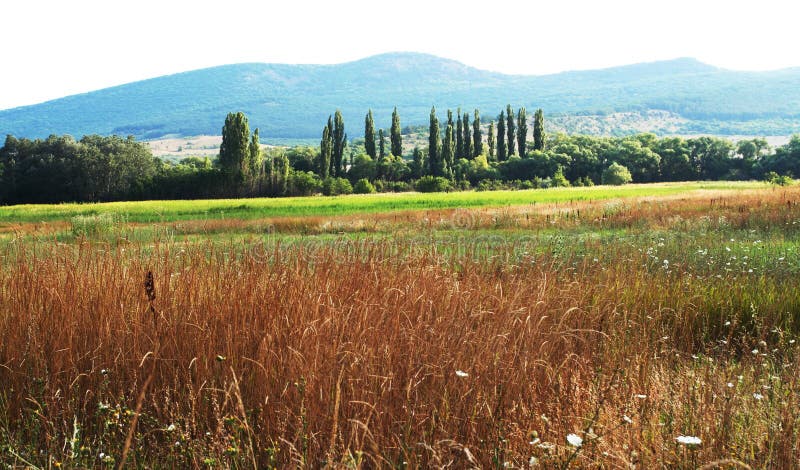 Paesaggi rurali fotografia stock. Immagine di colore, scena - 6002658