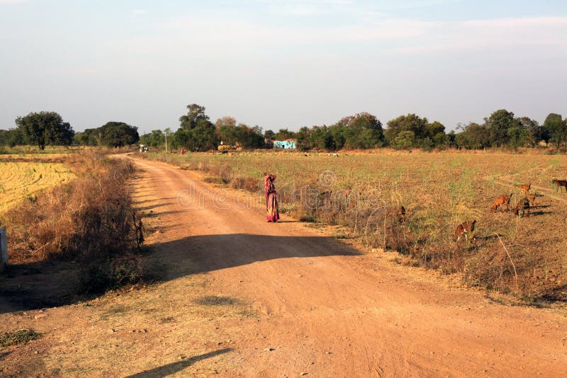 Paesaggi rurali dell'India fotografia stock. Immagine di strada - 83244782