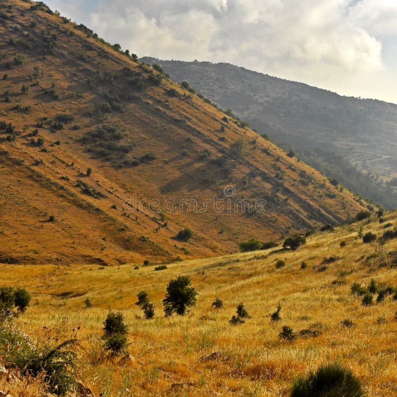 Paesaggio 01 del Libano immagine stock. Immagine di estate - 18118921