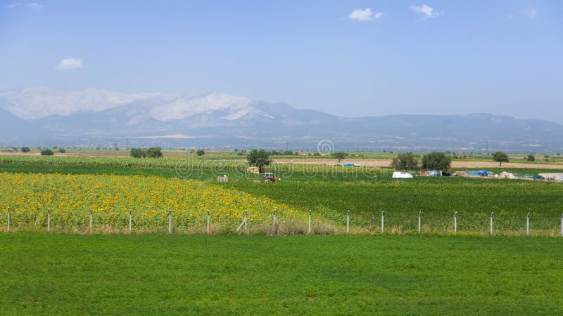 Paesaggio Agrario/rurale In Nl Fotografia Stock - Immagine di agrario ...