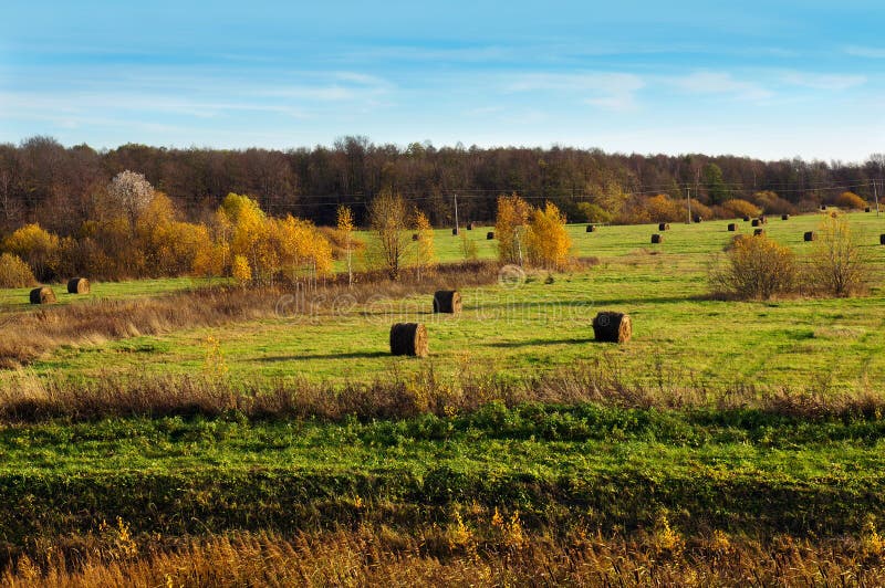 Paesaggio autunnale immagine stock. Immagine di pila - 33411705
