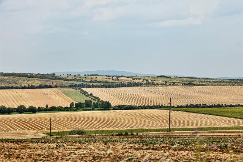Paesaggio Dei Campi Coltivati Fotografia Stock - Immagine di zona ...