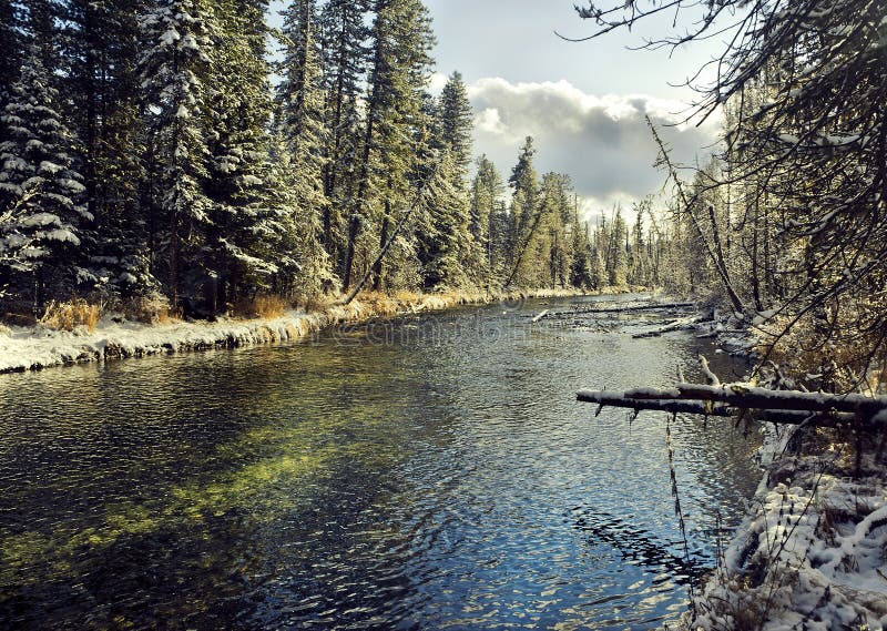 Paesaggio Fluviale Con Acqua Trasparente Immagine Stock - Immagine di ...