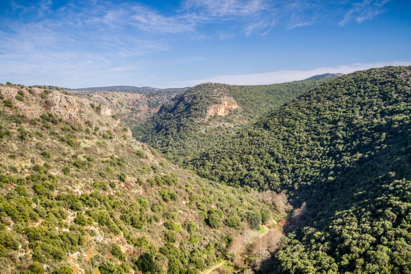 Paesaggio Della Montagna, Galilea Superiore in Israele Fotografia Stock ...