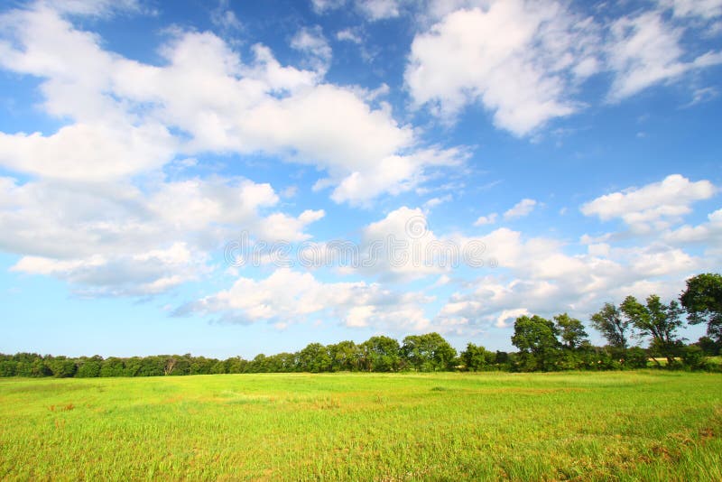 Paesaggio Della Prateria Del Midwest Immagine Stock - Immagine di ...