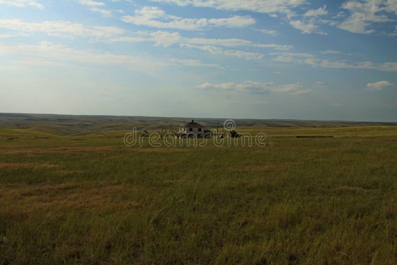 Ecosistema, Pascolo, Riserva Naturale, Prateria Immagine. Immagine ...