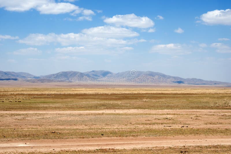 Paesaggio della steppa immagine stock. Immagine di coltura - 25514239