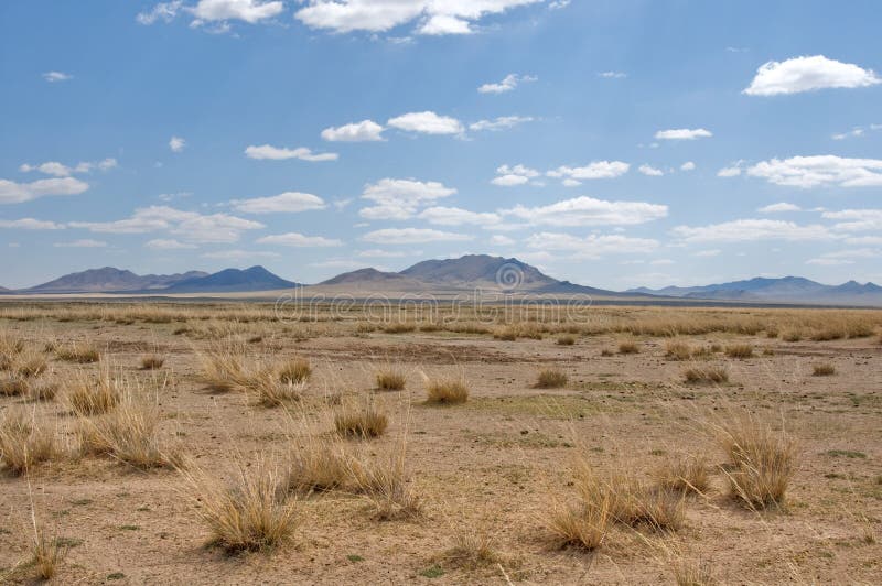 Paesaggio della steppa fotografia stock. Immagine di safari - 25514482