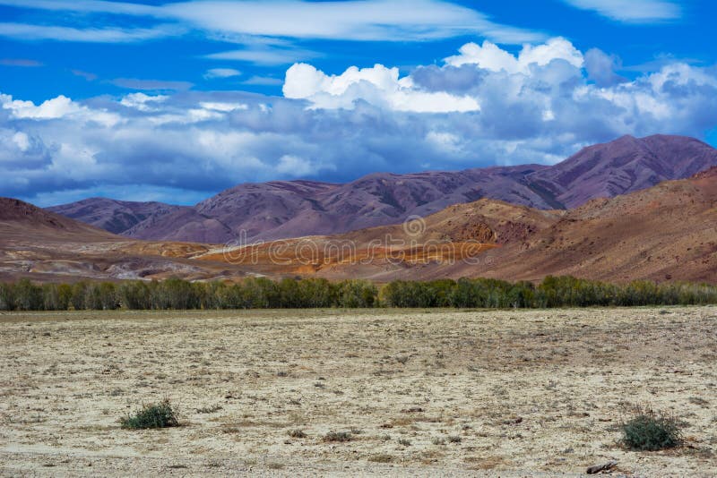 Paesaggio Della Steppa Di Mountain View Immagine Stock - Immagine di ...