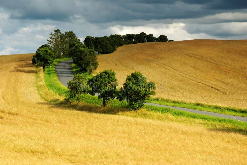 Il Legno Ha Costruito La Parete Con Cabina Rurale Di Vecchio Stile ...
