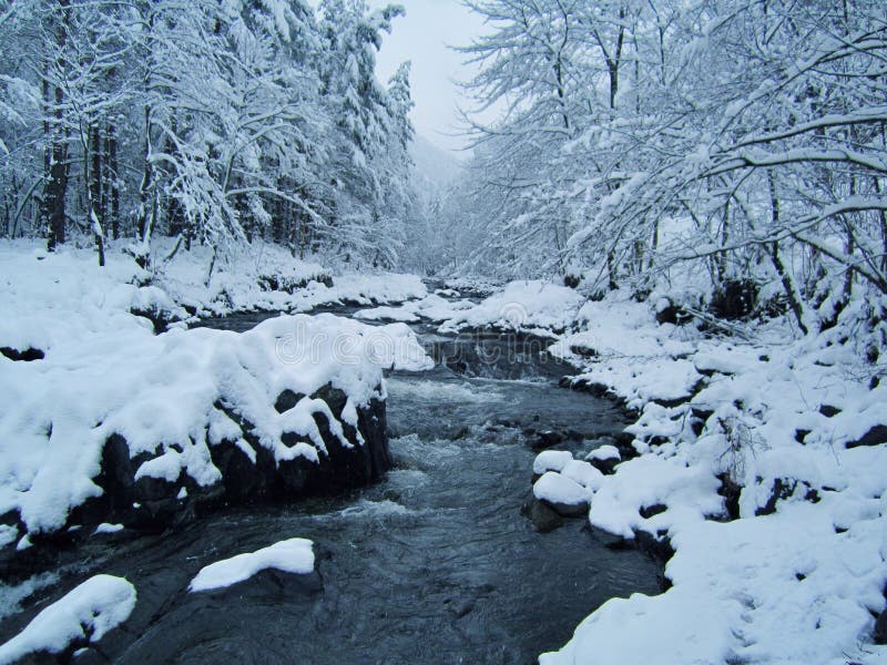 Paesaggio Di Inverno Con Neve Immagine Stock - Immagine di congelato ...