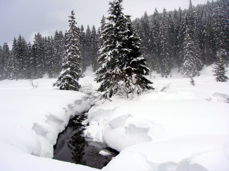 Paesaggio innevato immagine stock. Immagine di confortevole - 10117651