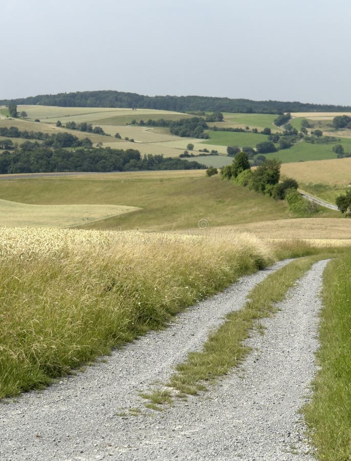 Paesaggio Panoramico Rurale Con Strada Poderale Immagine Stock ...