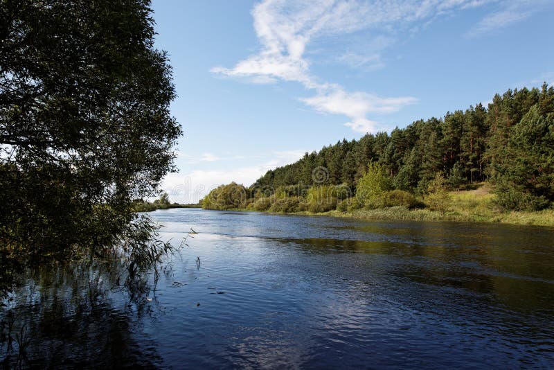 Paesaggio, Prato, Il Cielo Blu E Fiume Immagine Stock - Immagine di ...