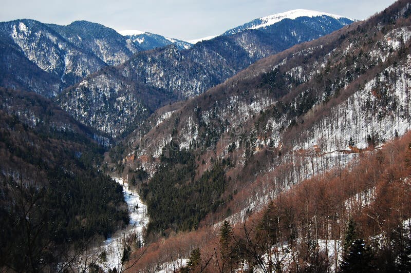 Paesaggio rumeno fotografia stock. Immagine di foresta - 21494816
