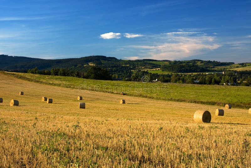Paesaggio Rurale fotografia stock. Immagine di marrone - 11038386
