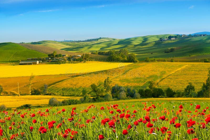 Paesaggio rurale fotografia stock. Immagine di verde - 42214078