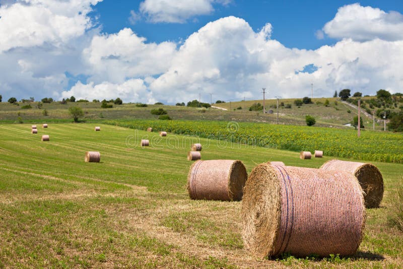 Paesaggio rurale, Francia immagine stock. Immagine di campagna - 55908903