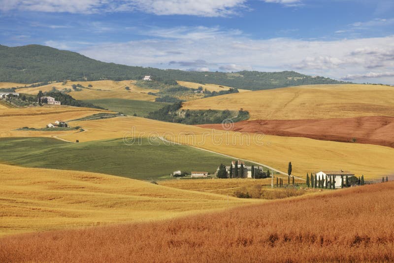 Paesaggio Rurale In Italia Immagine. Immagine: 92882265