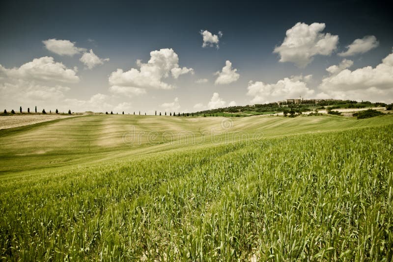 Paesaggio toscano tipico immagine stock. Immagine di scena - 10411571