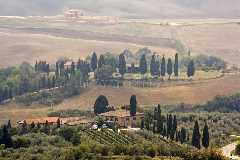 Paesaggio toscano tipico immagine stock. Immagine di pascolo - 11303999