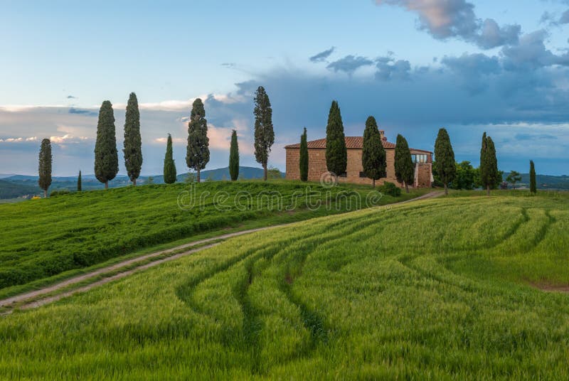 Paesaggio toscano tipico immagine stock. Immagine di italia - 48066761