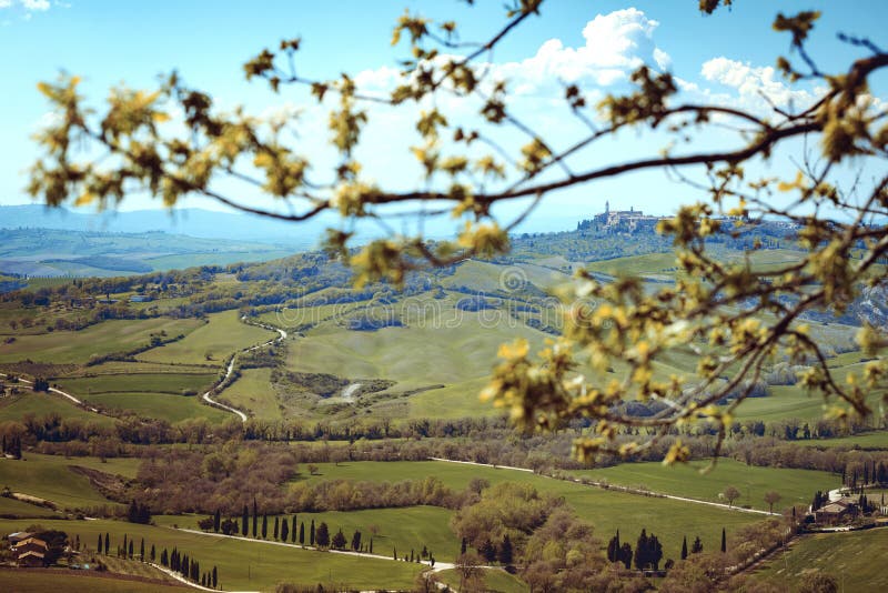 Pienza L'Italia Paesaggi Toscani Fotografia Stock - Immagine di piante ...