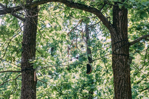 Pagan Devices Hang on a Tree. Stock Image - Image of ancient, beautiful ...
