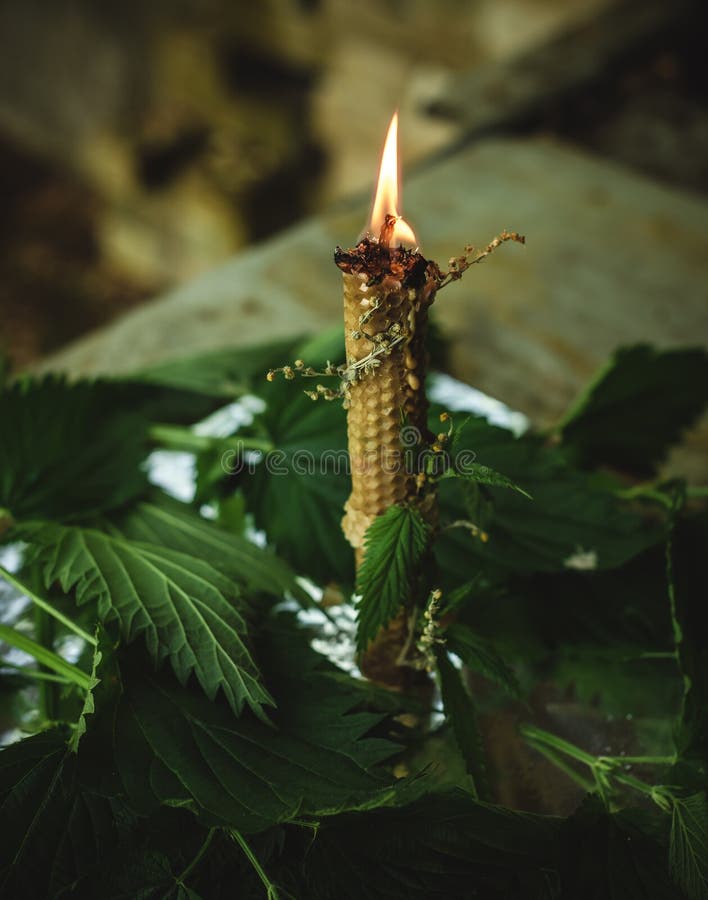 Magical Stuff, Old Magic Concept, Nature Powers Stock Photo - Image of ...