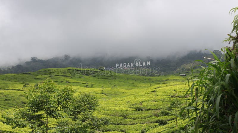 Pagar Alam Monument with Tea Garden View Stock Photo - Image of cloudy ...