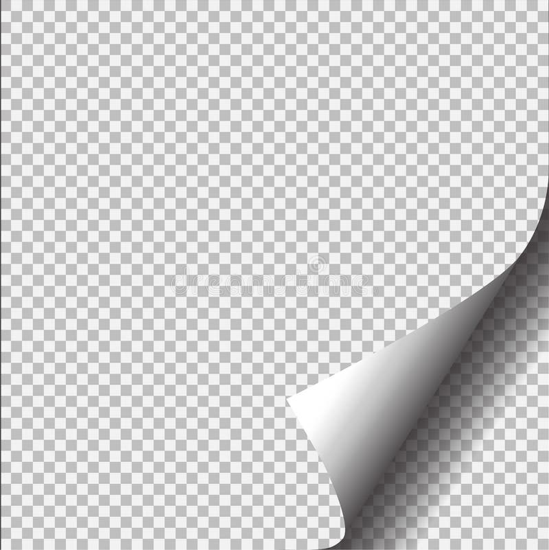 Page Curl with Shadow on Blank Sheet of Paper. Stock Vector ...