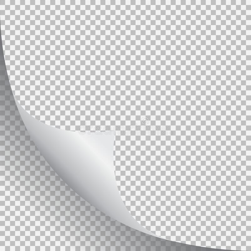 Page Curl with Shadow on Blank Sheet of Paper. Stock Vector ...