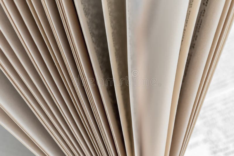 Reading Newspaper Sheets Open White Background Stock Photos - Free ...