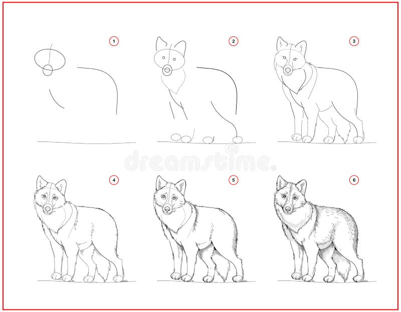 Page Shows How To Learn To Draw Sketch of Human Skull. Creation Step by ... Page Shows How To Learn To Draw Sketch of Human Skull. Creation Step by ...