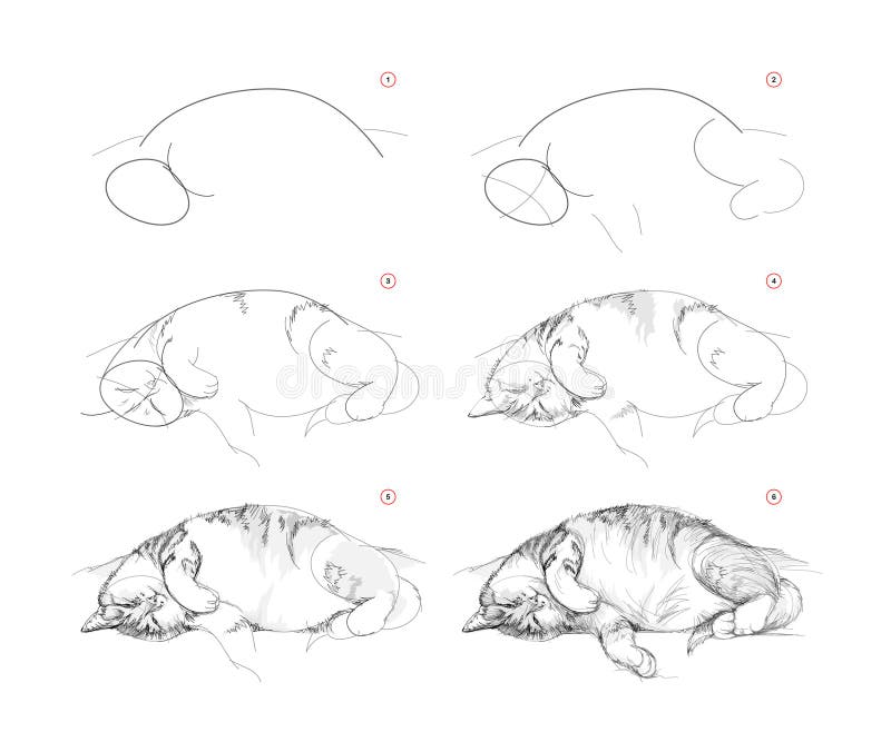 Page Shows How To Learn To Draw Sketch Of Cute Sleeping Cat Pencil Drawing Lessons Educational