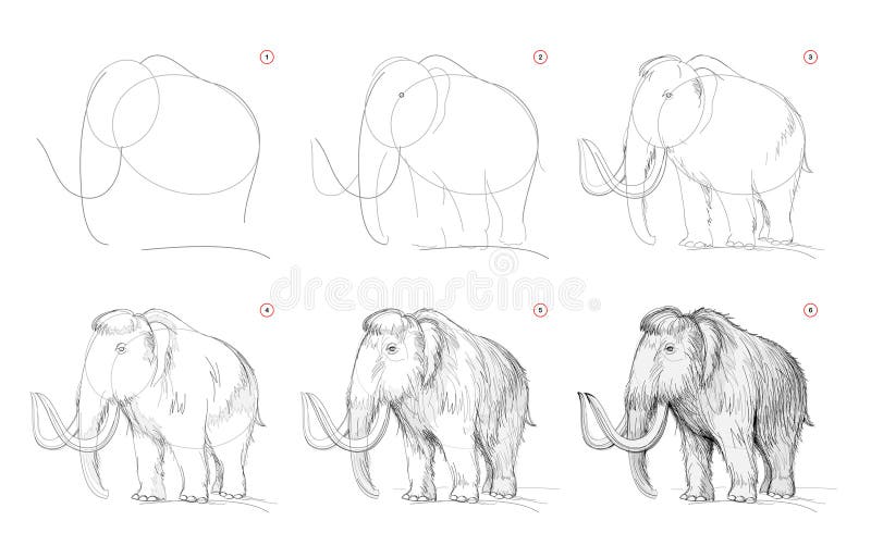 Page Shows How To Learn To Draw Sketch of Mammoth. Creation Step by ...