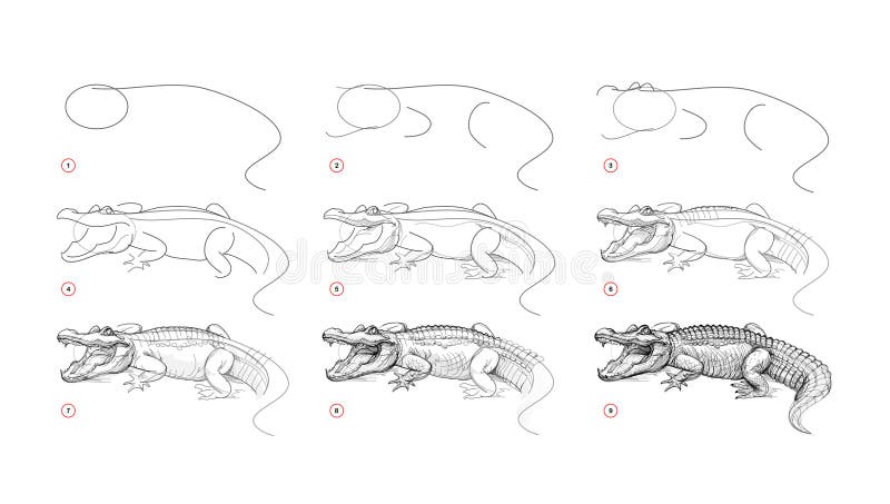 Page Shows How To Learn To Draw Sketch a Redoubtable Alligator. Pencil ...