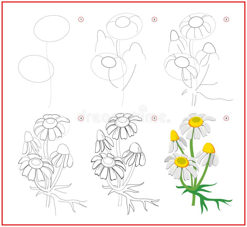 Learn Draw Step Step Stock Illustrations – 1,601 Learn Draw Step Step ... Learn Draw Step Step Stock Illustrations – 1,601 Learn Draw Step Step ...
