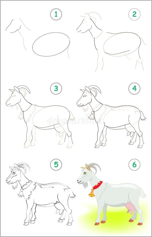 Page Shows How To Learn Step by Step To Draw a Cute Goat. Stock Vector ... Page Shows How To Learn Step by Step To Draw a Cute Goat. Stock Vector ...
