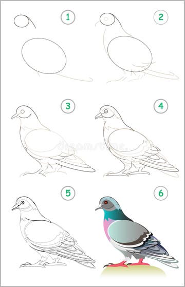 Learn Draw Step Step Stock Illustrations – 1,398 Learn Draw Step Step ... Learn Draw Step Step Stock Illustrations – 1,398 Learn Draw Step Step ...