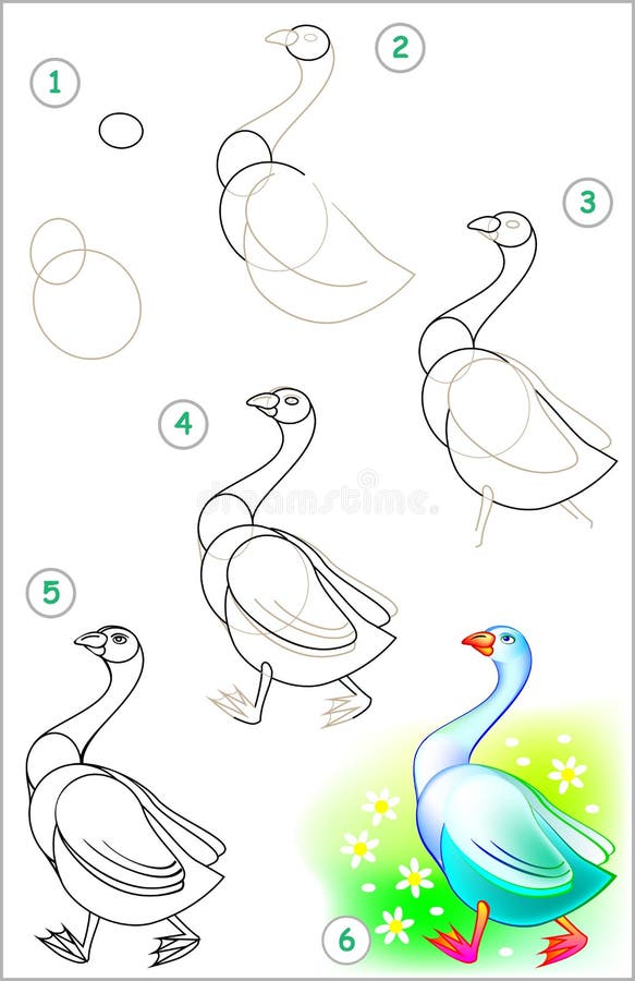Page Shows How To Learn Step by Step To Draw a Goose. Stock Vector ...