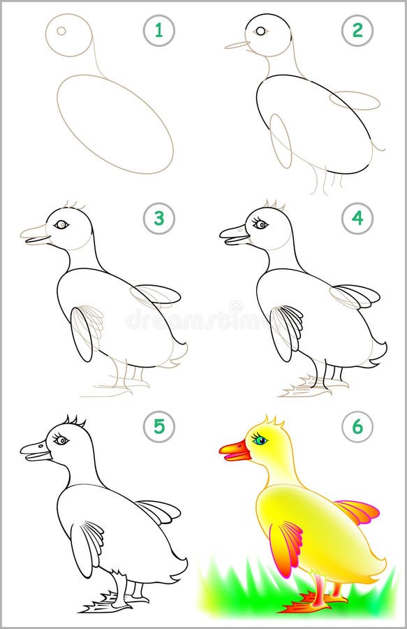 How To Draw A Duck Step By Step How To Draw A Cute Cartoon Rubber