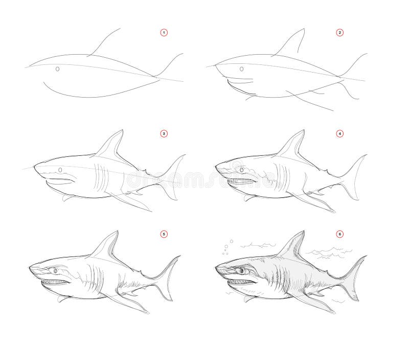Creation Step By Step Pencil Drawing Page Shows How To Learn Draw Sketch Of Imaginary Three
