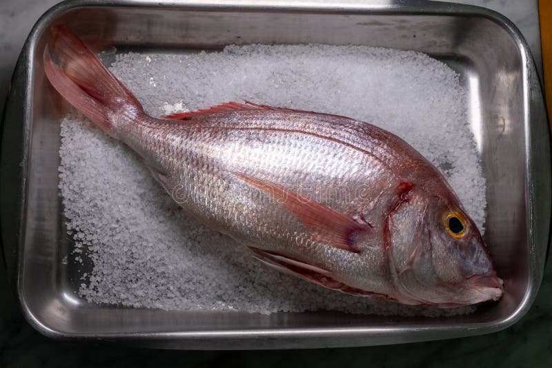 Pagello in casserole stock photo. Image of desktop, diet - 172741934