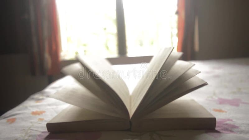 Open Pages of a Book Blowing in Wind. Wind Blowing through Pages. Relax ...