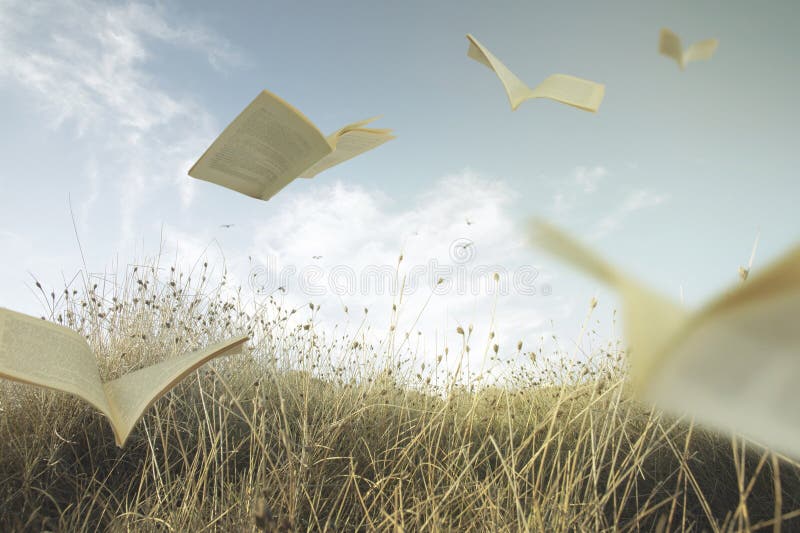 Pages Book Flying Free Meadow Like Birds Sky Stock Photos - Free ...