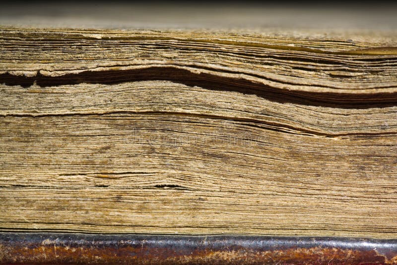 Book Texture Side