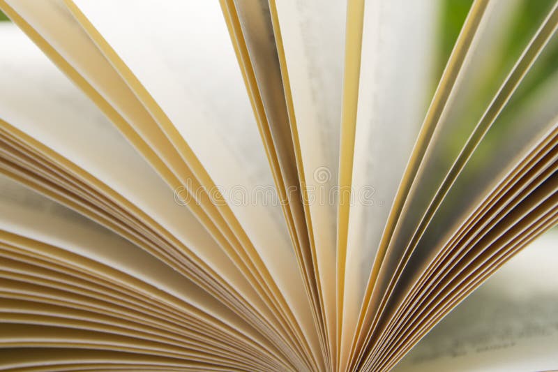 Pagine su un libro aperto immagine stock. Immagine di autori - 96308639