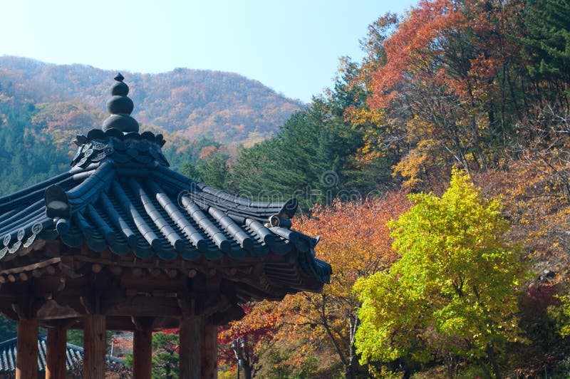 Pagoda in Fall stock photo. Image of ancient, japan, fall - 27440294